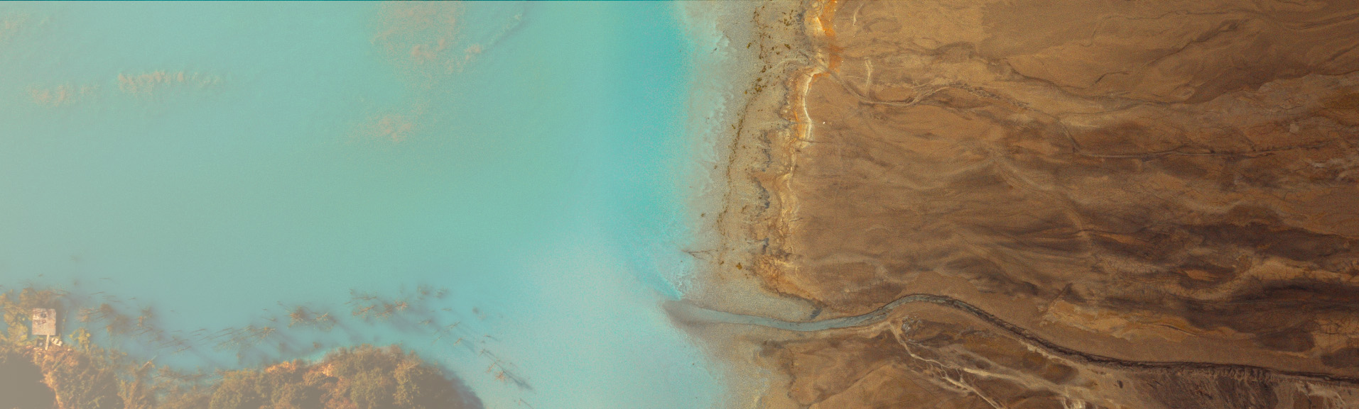 RhODIS » Nature Crime Alliance