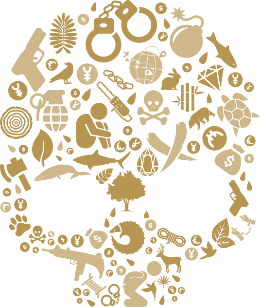Nature Crime Alliance - People. Planet. Justice.