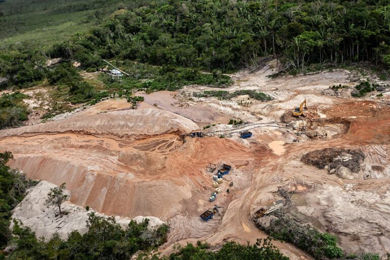 Analysis: Organised crime in the Amazon » Nature Crime Alliance